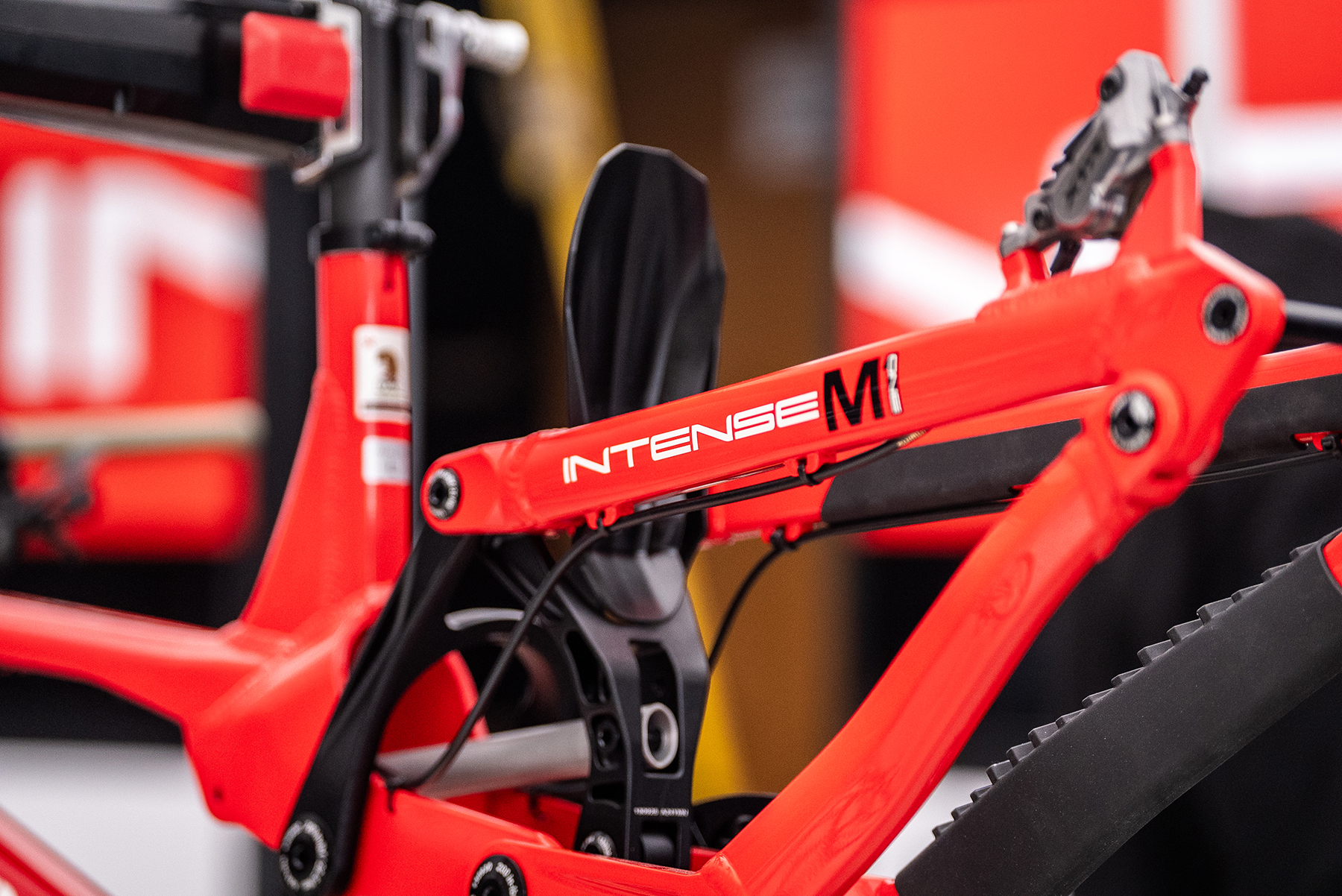 MS INTENSE RACING – 20 years of MTB downhill worldcup racing