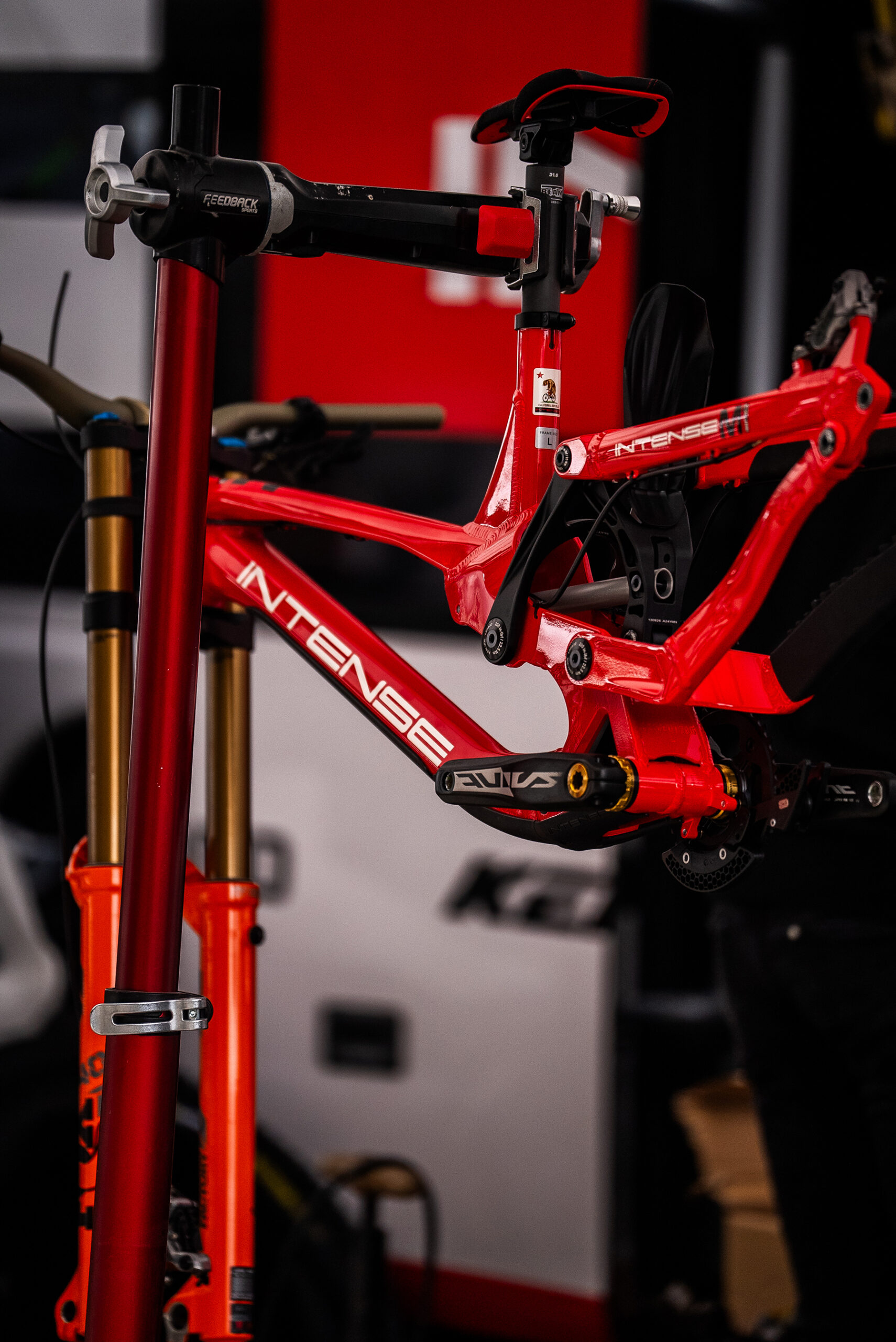 MS INTENSE RACING – 20 years of MTB downhill worldcup racing