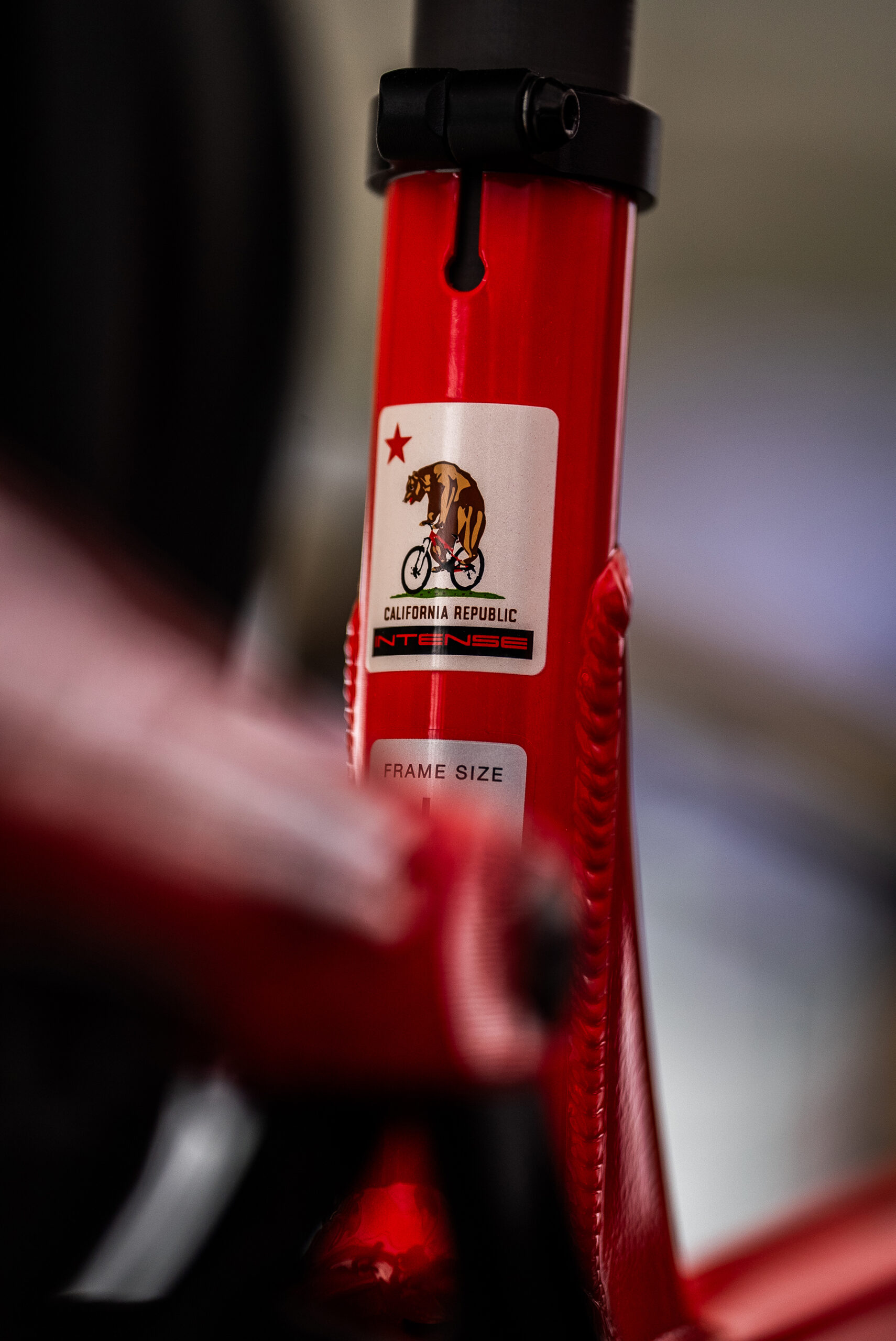 MS INTENSE RACING – 20 years of MTB downhill worldcup racing