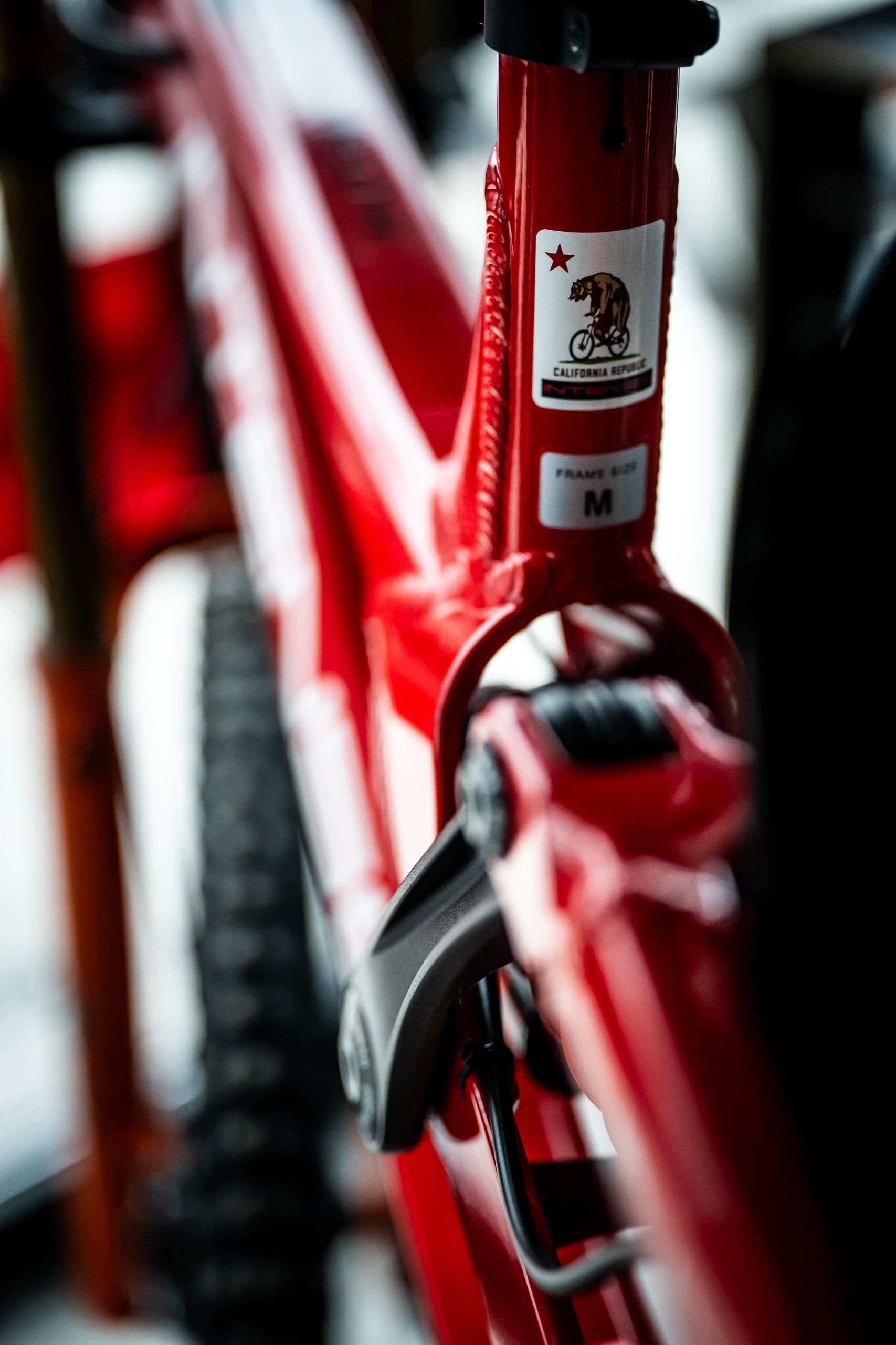 MS INTENSE RACING – 20 years of MTB downhill worldcup racing